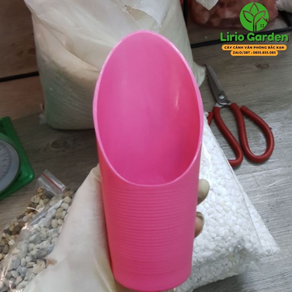 Ca Xúc Đất Trồng Cây – Cây Cảnh Văn Phòng Bắc Kạn