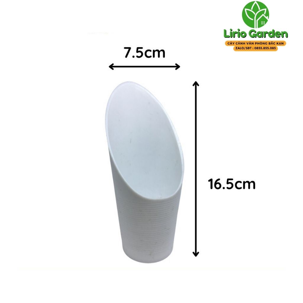 Ca Xúc Đất Trồng Cây – Cây Cảnh Văn Phòng Bắc Kạn