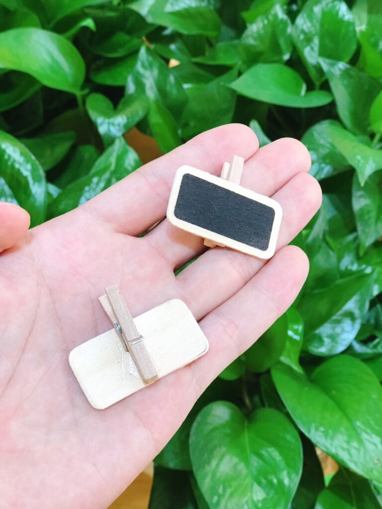 Bảng Đen Mini – Cây Cảnh Văn Phòng Bắc Kạn