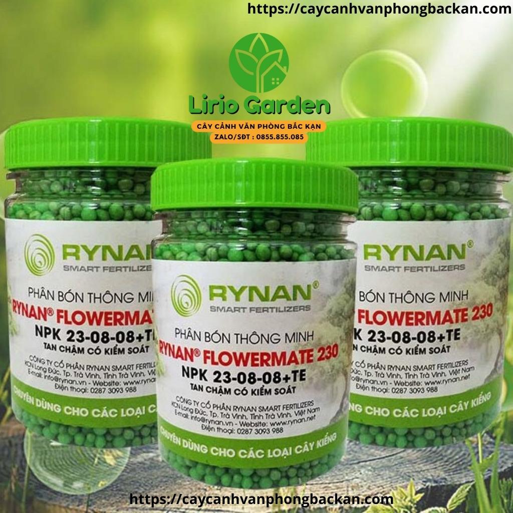 Phân Tan Chậm Rynan 230 Chuyên Dùng Cho Cây Cảnh – Cây Cảnh Văn Phòng Bắc Kạn